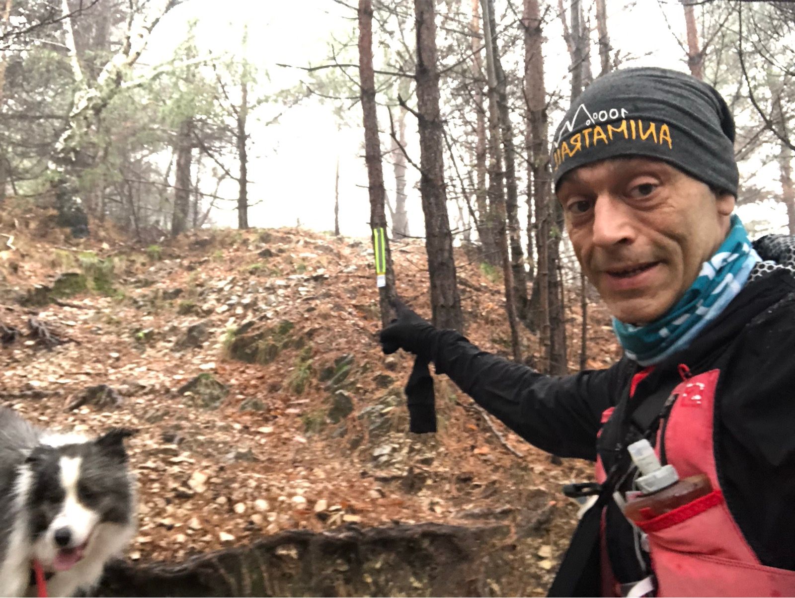 Davide Meroni | Strava Runner Profile