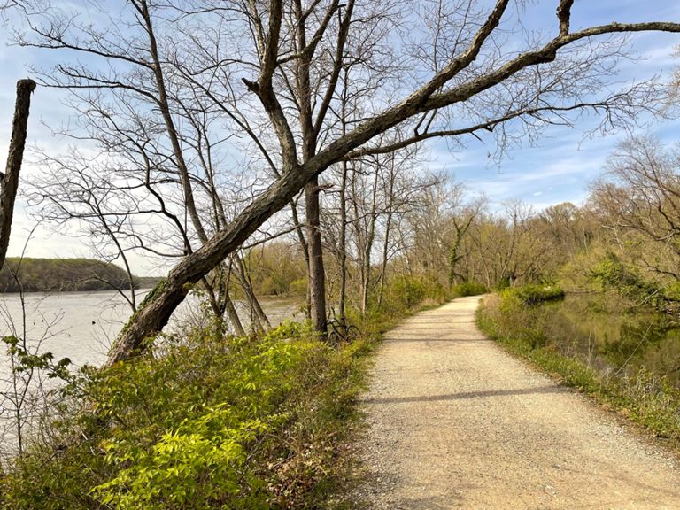 PR Marathon Single Leg | 6.6 mi Running Route on Strava