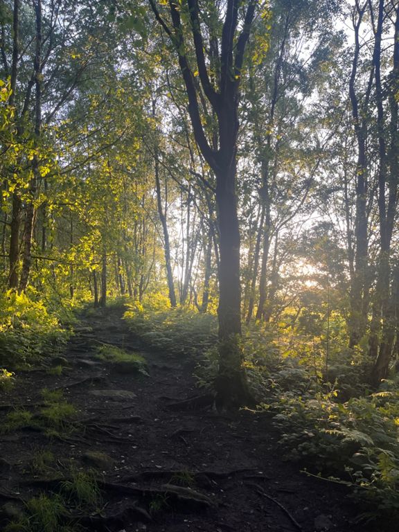 Loxley Valley | 12.8 km Running Route on Strava