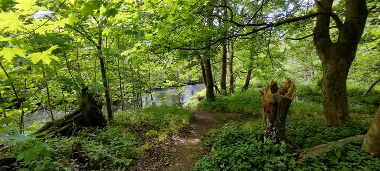 Mid Calder Cobbinshaw 76 | 76.4 km Cycling Route on Strava