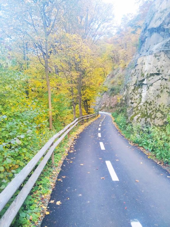 East 88 | 88.2 km Cycling Route on Strava