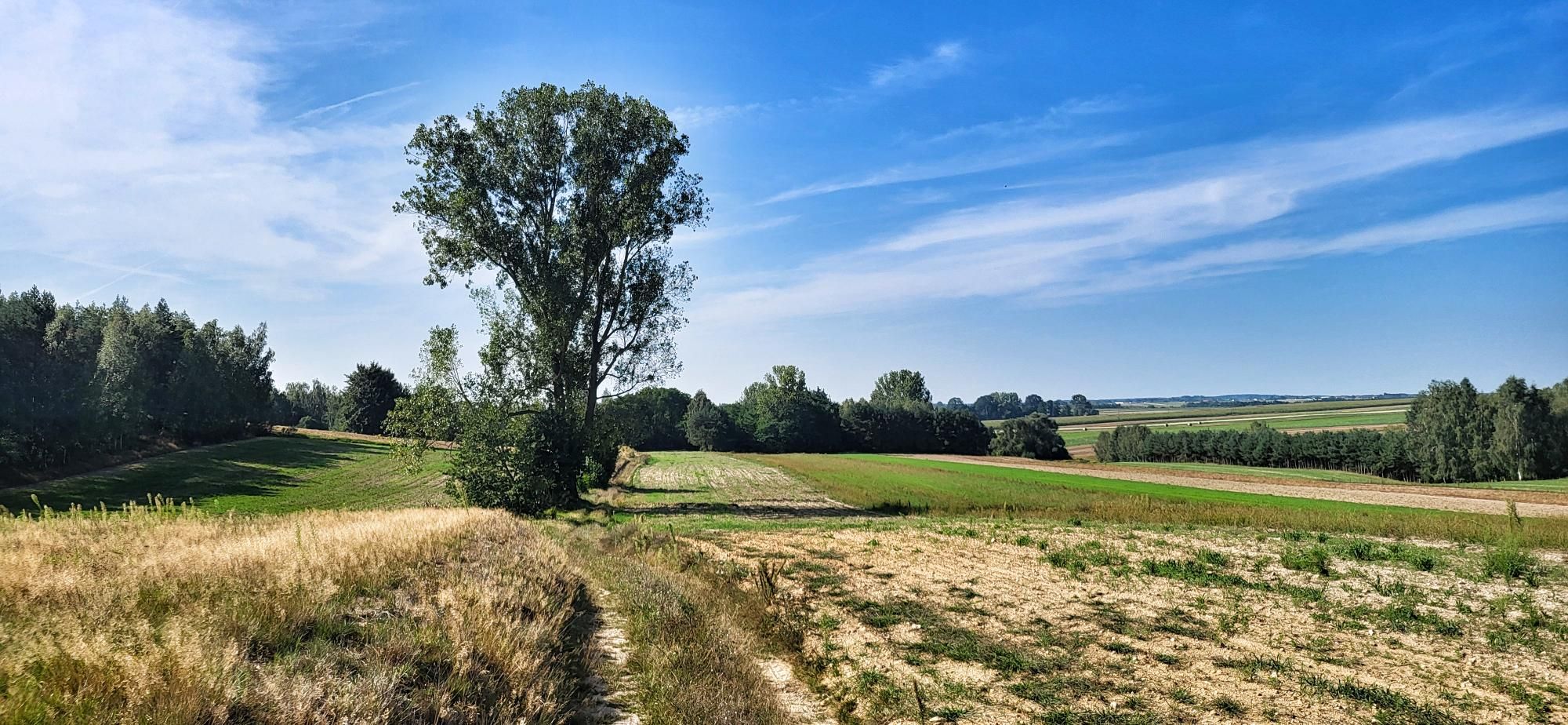 Andrzej Dominiak | Strava Cyclist Profile