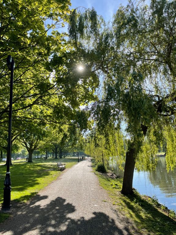 BRC 6.1 Bed Park Light | 6.1 mi Running Route on Strava
