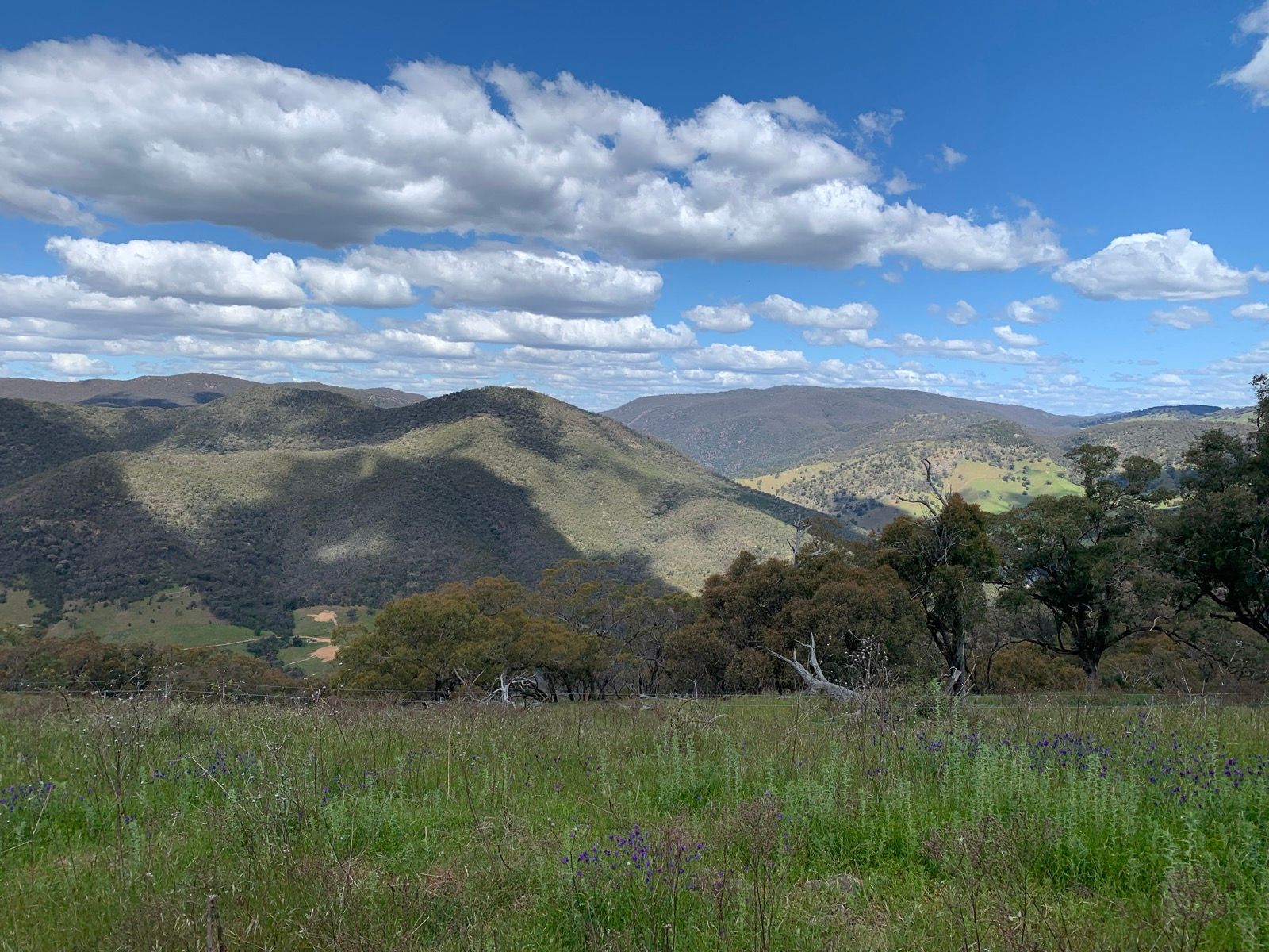 Sam O'Shea | Strava Cyclist Profile