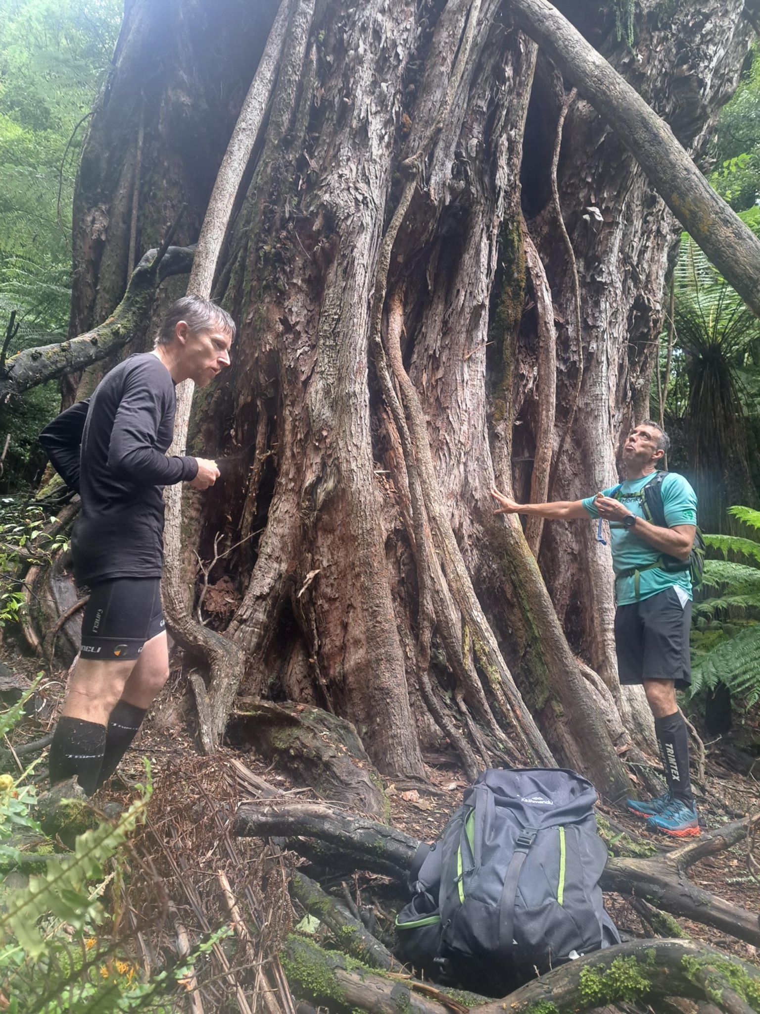 Strava Workout Activity