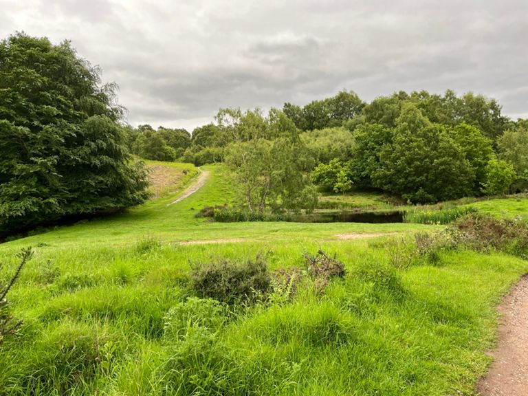 Milwich, Birches Valley | 40.1 mi Cycling Route on Strava