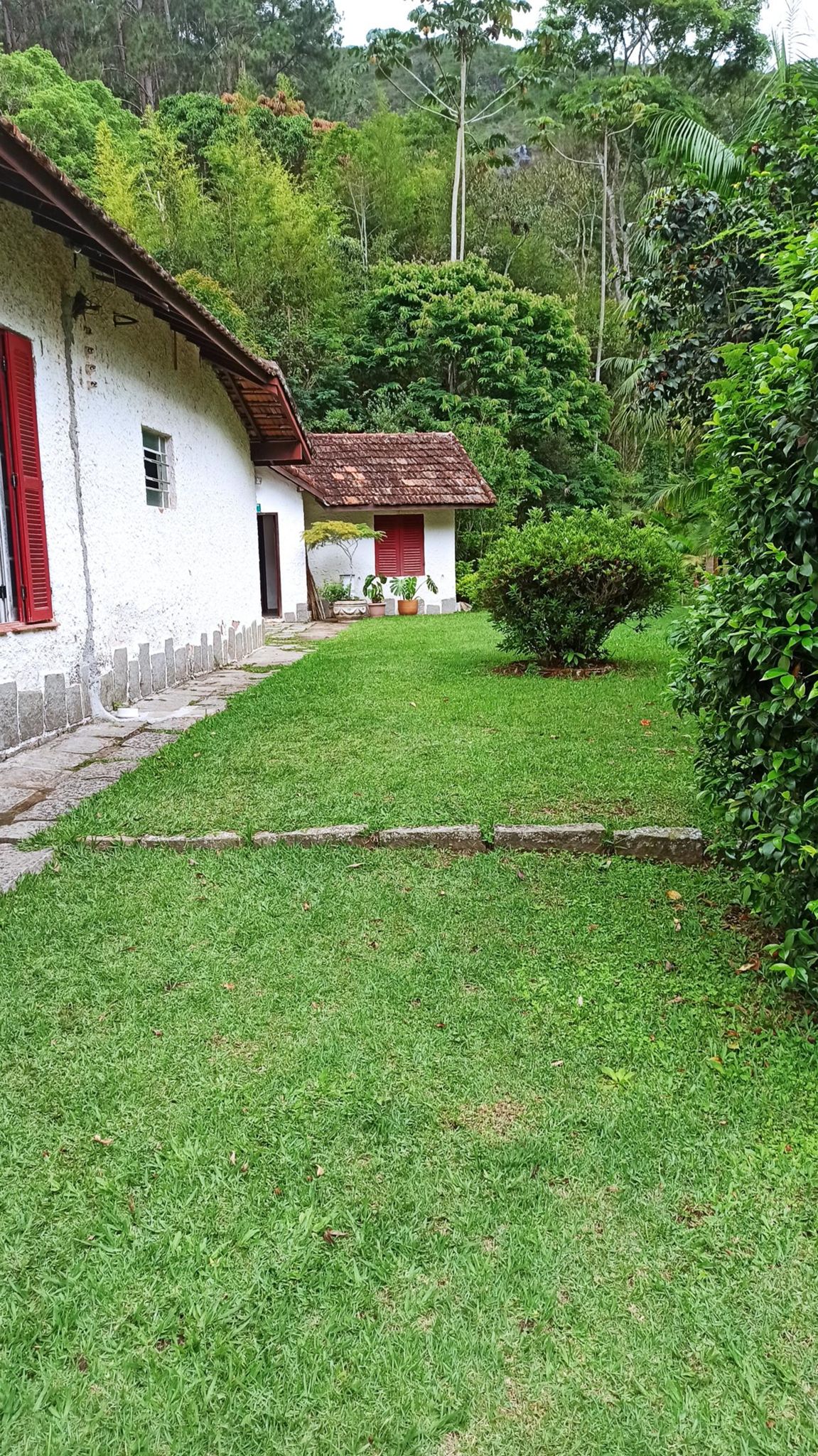 Andreza Cabral | Strava Runner Profile