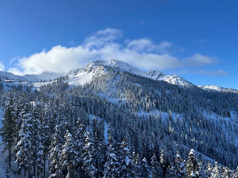 Blue Velvet | 3.2 mi Mountain Biking Trail on Strava