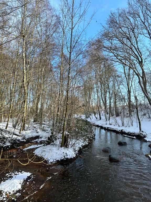 Ryzon Tribe GRVL | Matsch-Moor-Gravel | 65.6 km Cycling Route on Strava