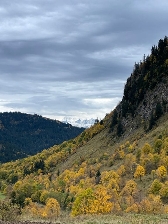 Pointe de Chalune - From the Combe du Foron | 6.7 mi Backcountry Skiing ...