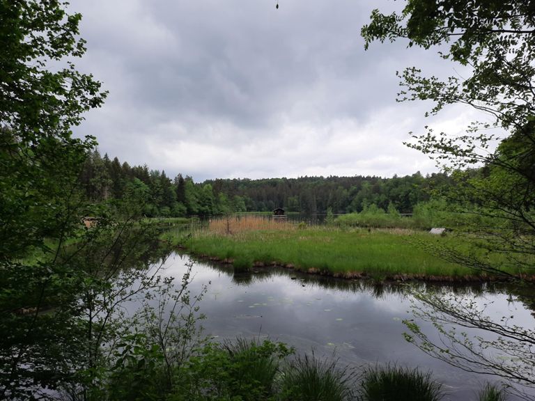 Kirchsee-Hackensee | 28.0 km Cycling Route on Strava