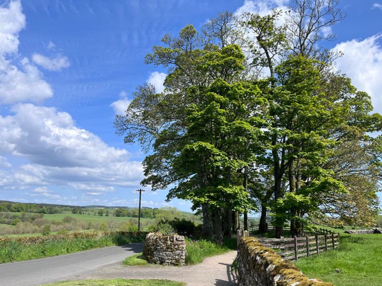 Gretna and Longtown v3 | 103.9 mi Cycling Route on Strava