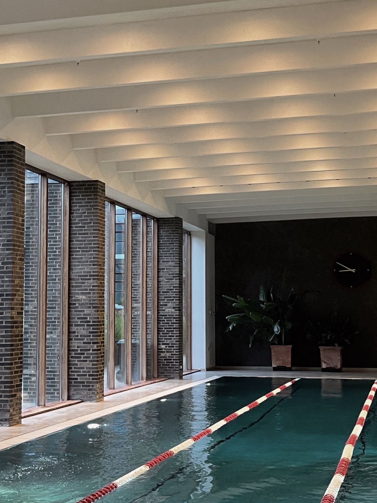 Stine Halbye | Strava Runner Profile