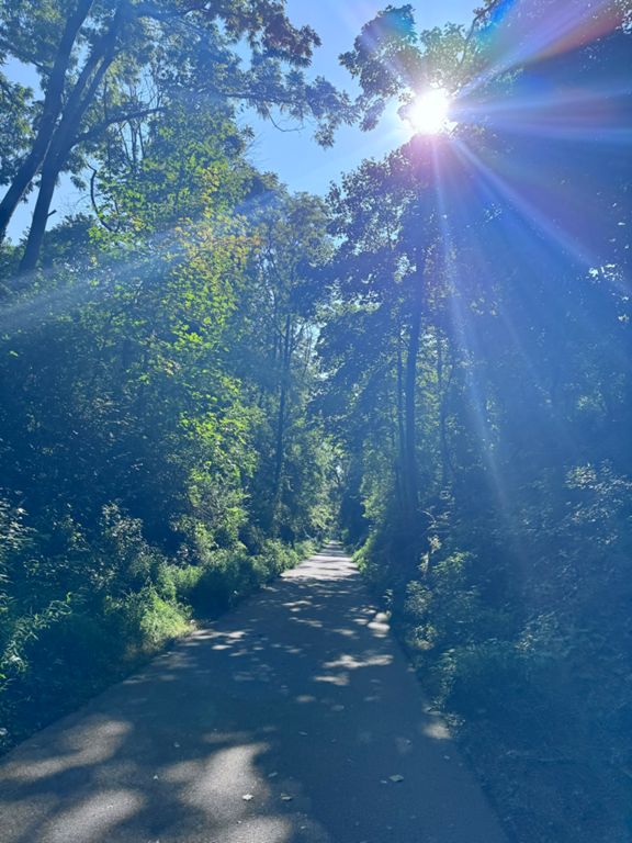 Exton Flyer | 19.9 mi Cycling Route on Strava