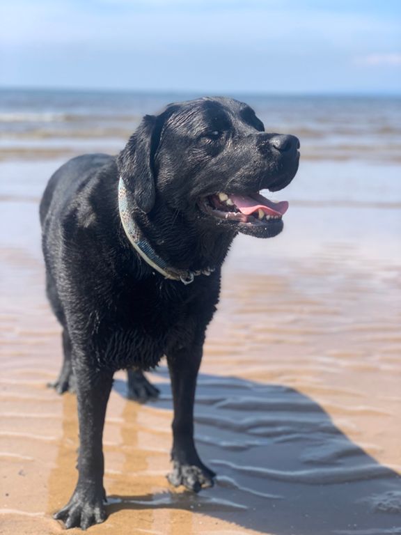 irvine bike ride and back | 31.7 km Cycling Route on Strava