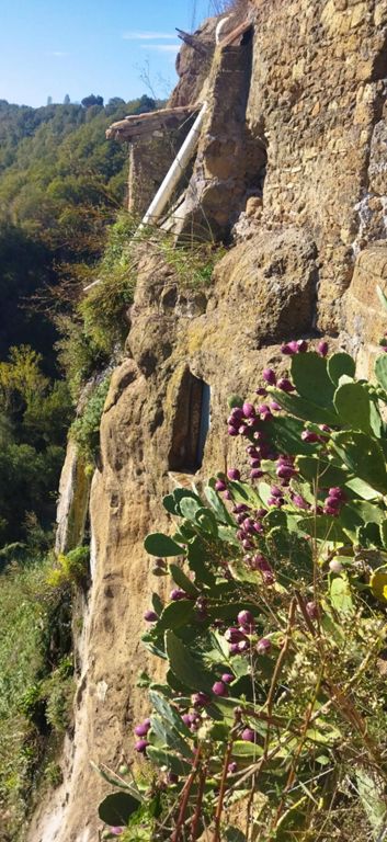 Clima Classica | 210.1 km Cycling Route on Strava