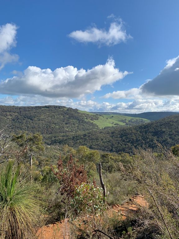 Transcend Runners Route - 65km | 64.8 km Trail Running Route on Strava