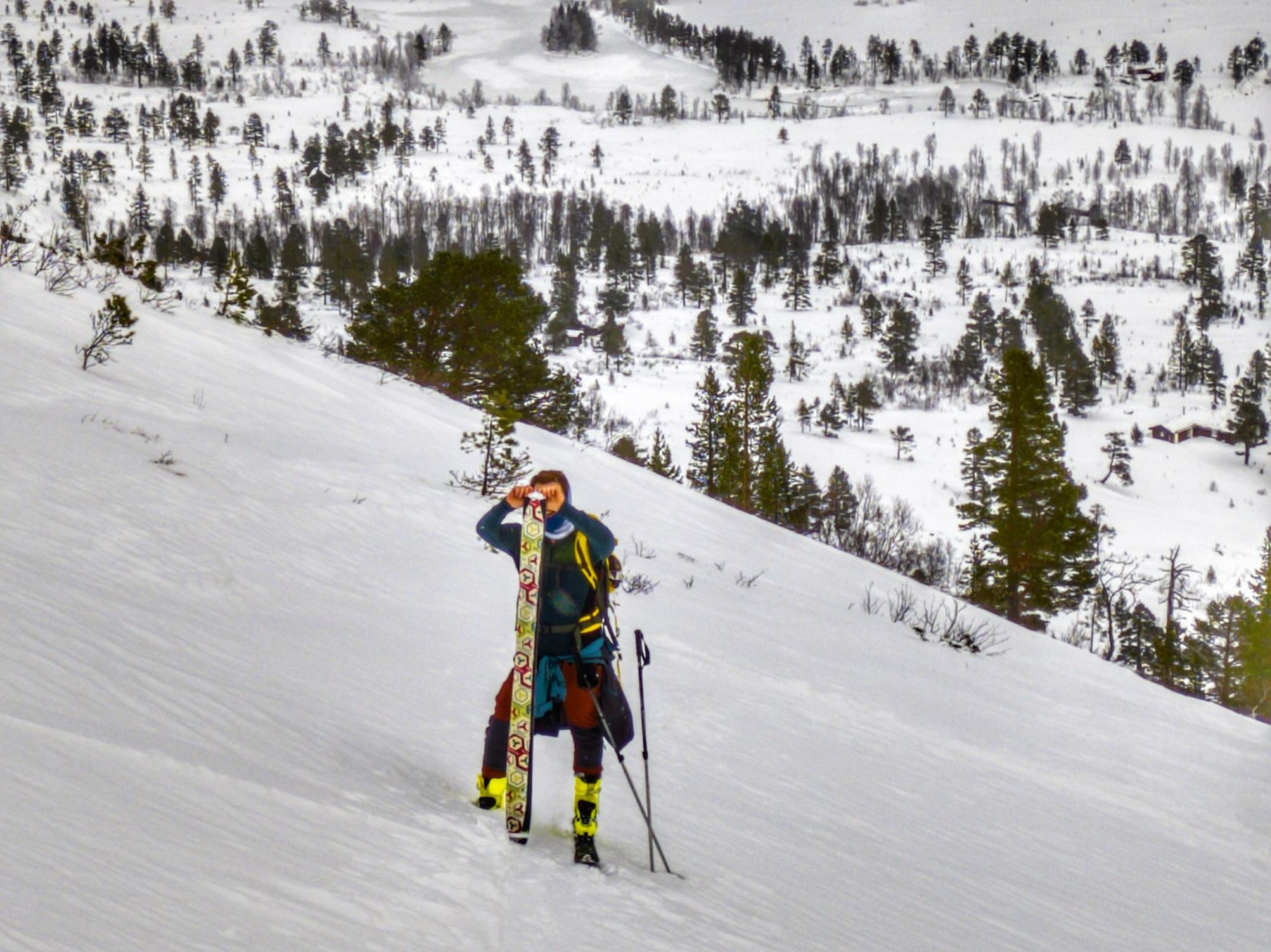 Brage Foss | Strava Runner Profile