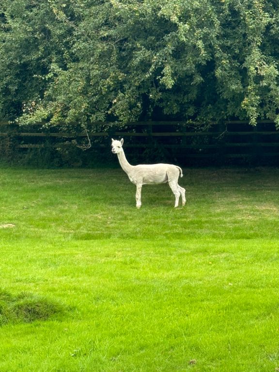 Matlock to Castleton YHA | 24.7 mi Cycling Route on Strava