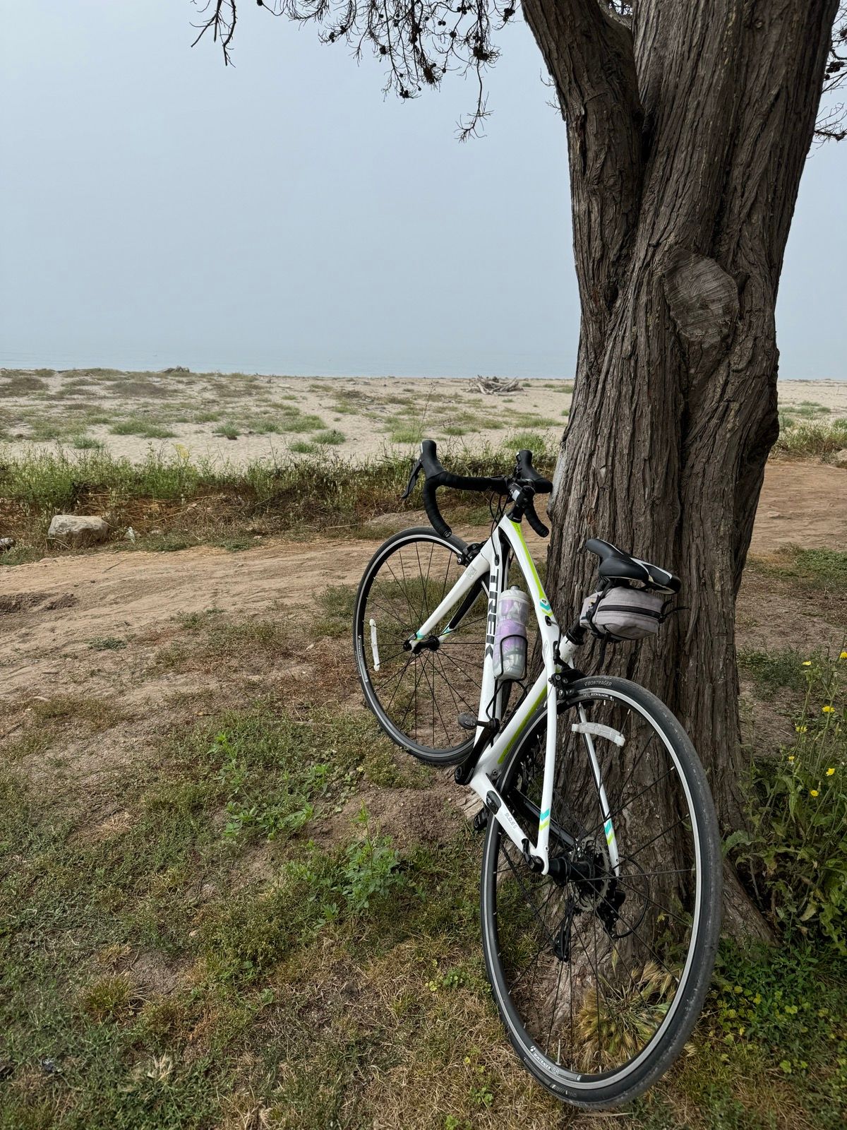 Kim Clark | Strava Runner Profile