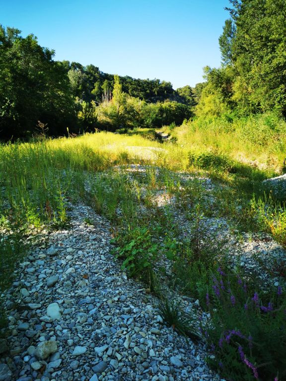 Dentelles | 50.3 km Cycling Route on Strava