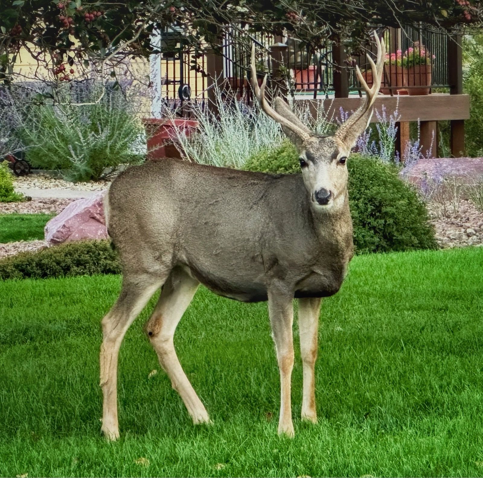 John Sudduth | Strava Runner Profile