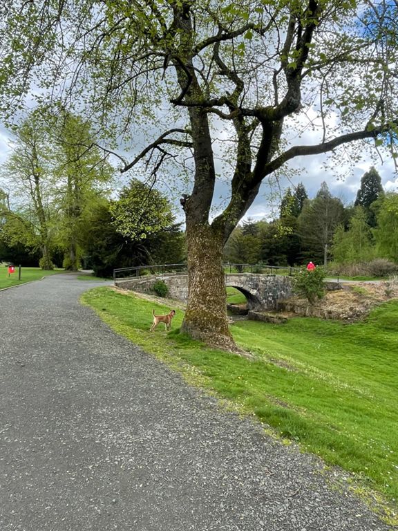 Falkirk Legal Walk | 5.1 km Trail Running Route on Strava