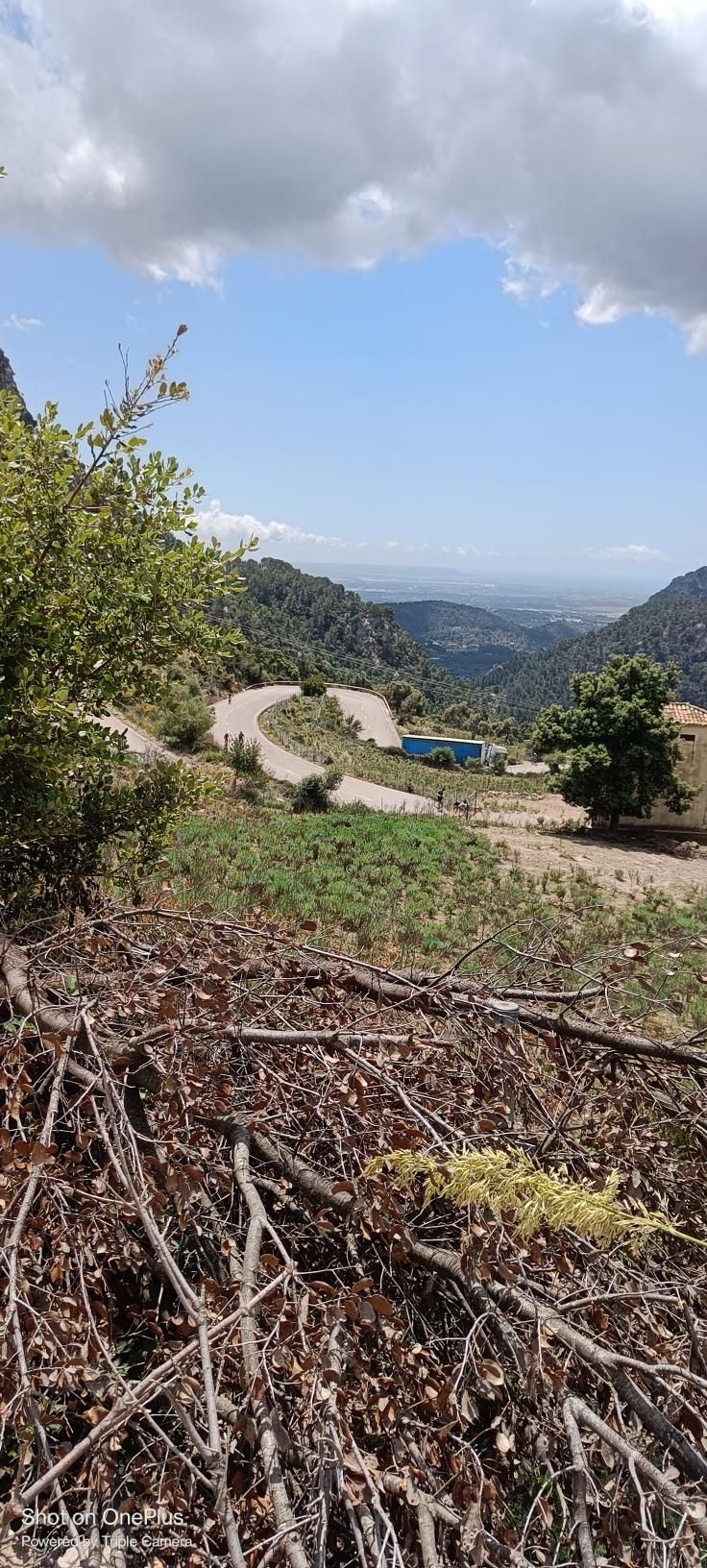 Marc Ongena | Strava Cyclist Profile