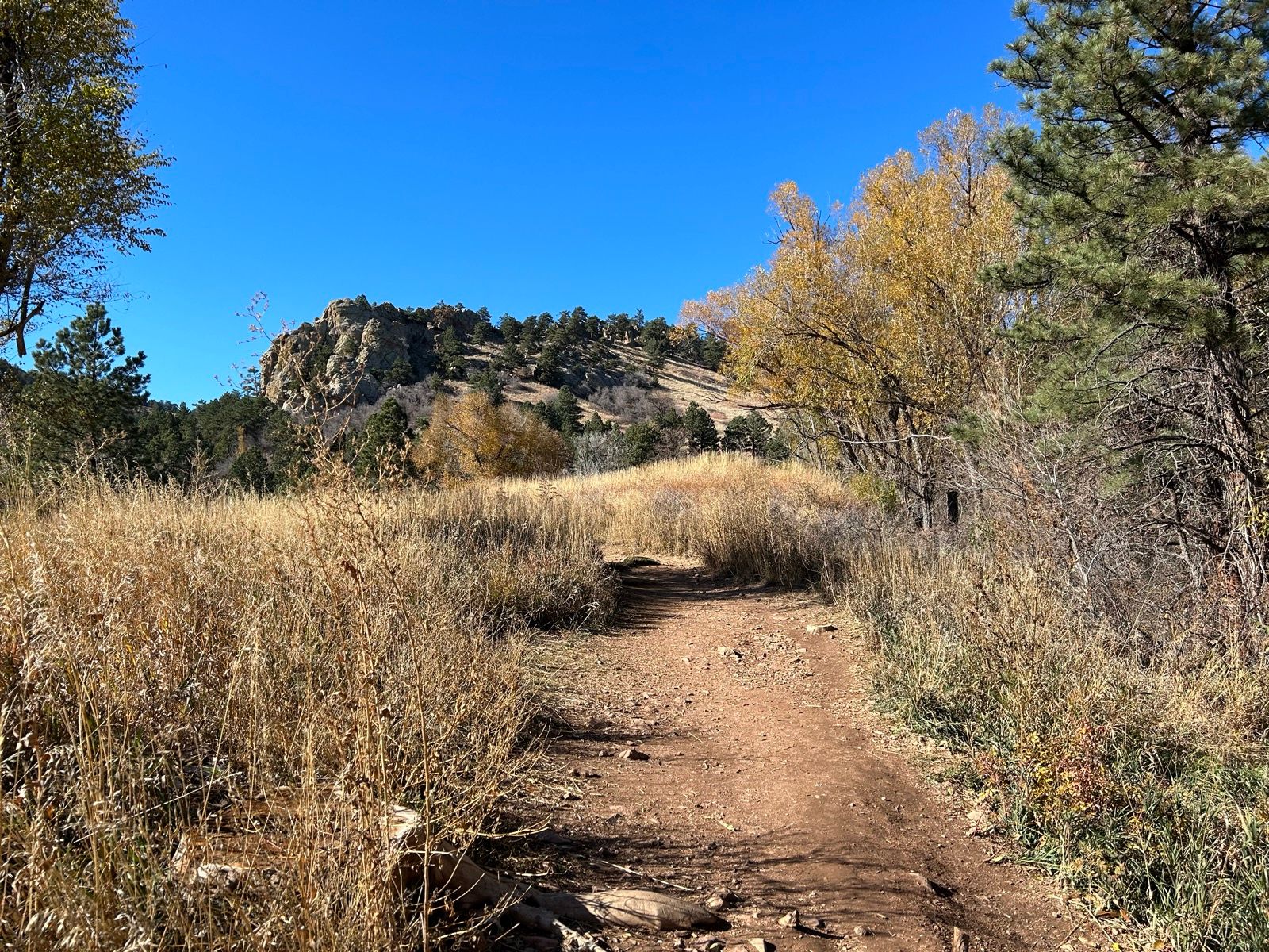 Lisa Root | Strava Runner Profile