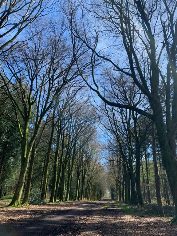 RAFCA AGM Saturday Gravel / CX / MTB XC route | 61.8 km Cycling Route ...