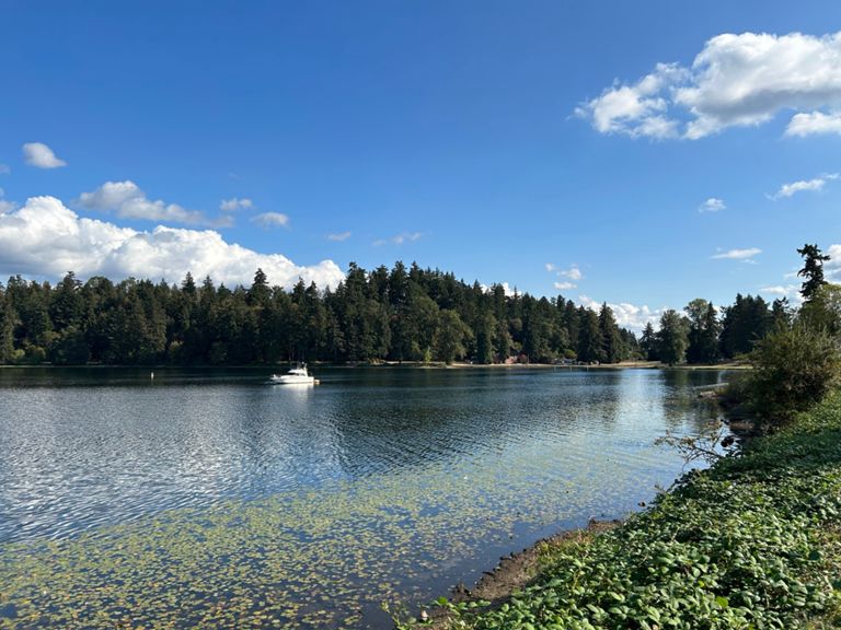 South lake Washington loop | 23.6 mi Cycling Route on Strava