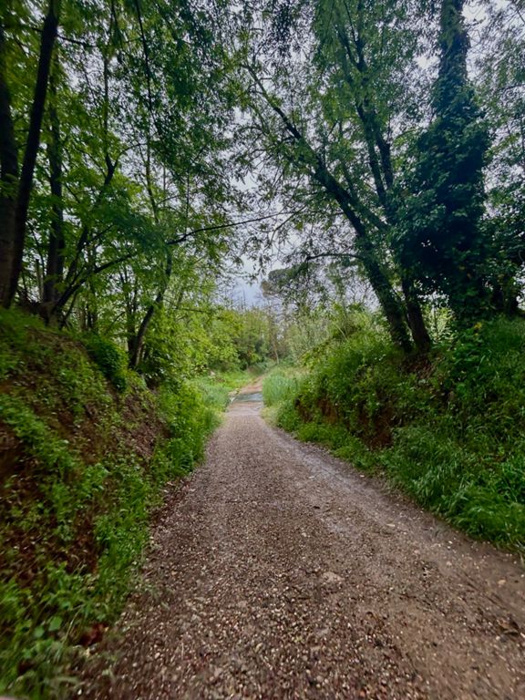 GRVL Girona 57km 476hm moderat | 56.8 km Cycling Route on Strava
