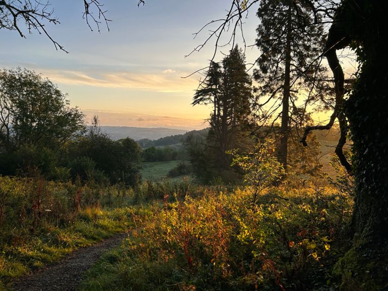 Home to Pitchcombe | 53.2 km Running Route on Strava