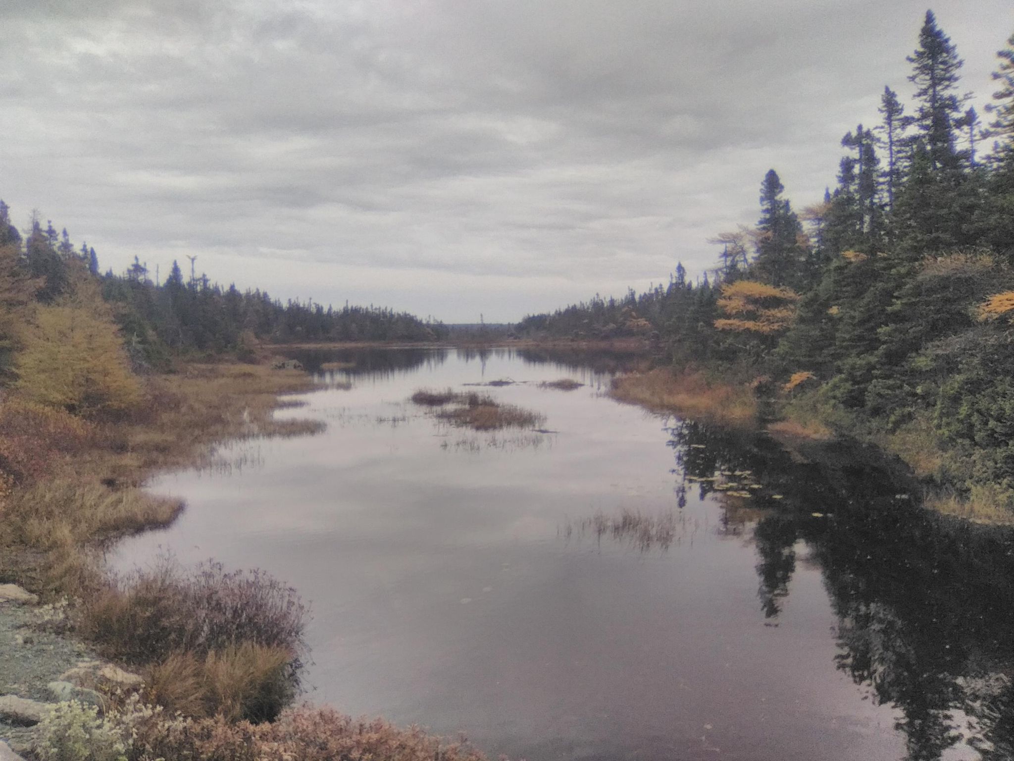 Sean Dawe | Strava Cyclist Profile