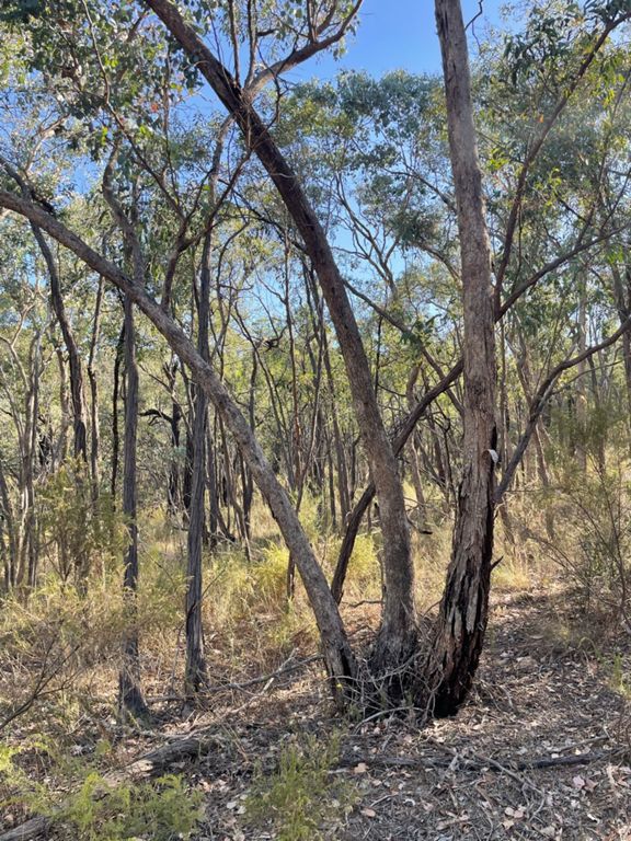 OTH 6km 250m | 5.9 km Running Route on Strava