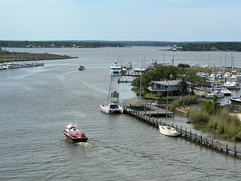 George, Archie 80km | 50.3 mi Cycling Route on Strava