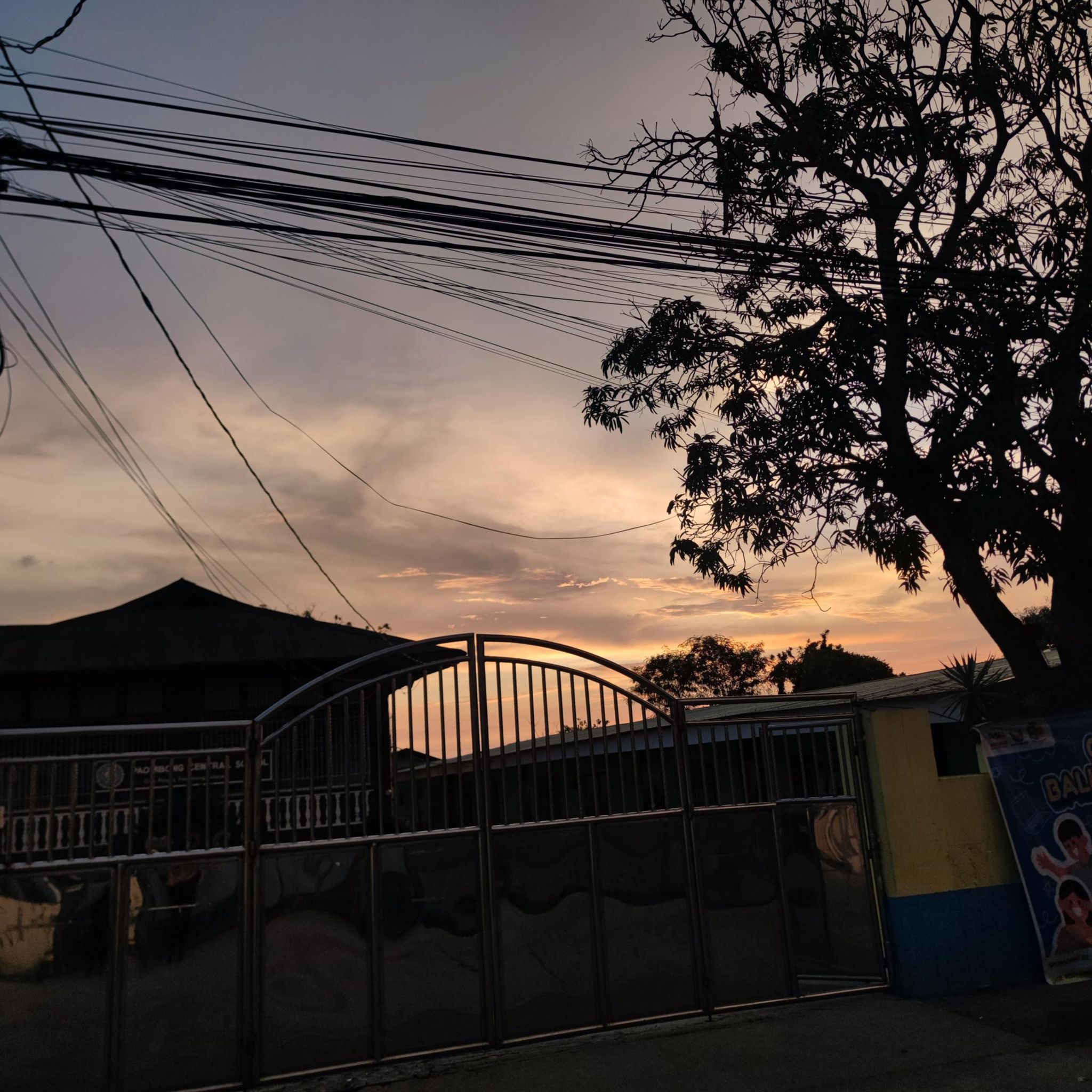 Monique Pacheco | Strava Runner Profile