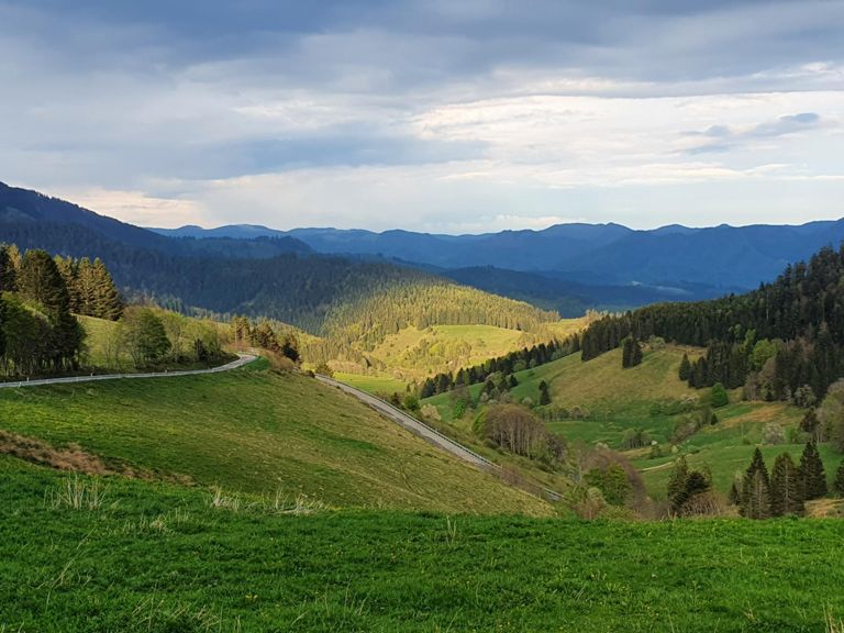 New Black forest roads | 128.8 km Cycling Route on Strava