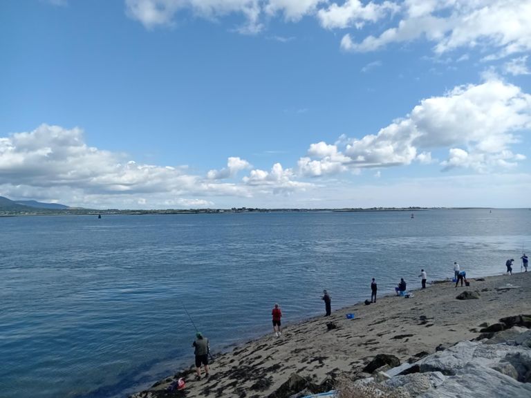 Carlingford | 86.3 mi Cycling Route on Strava