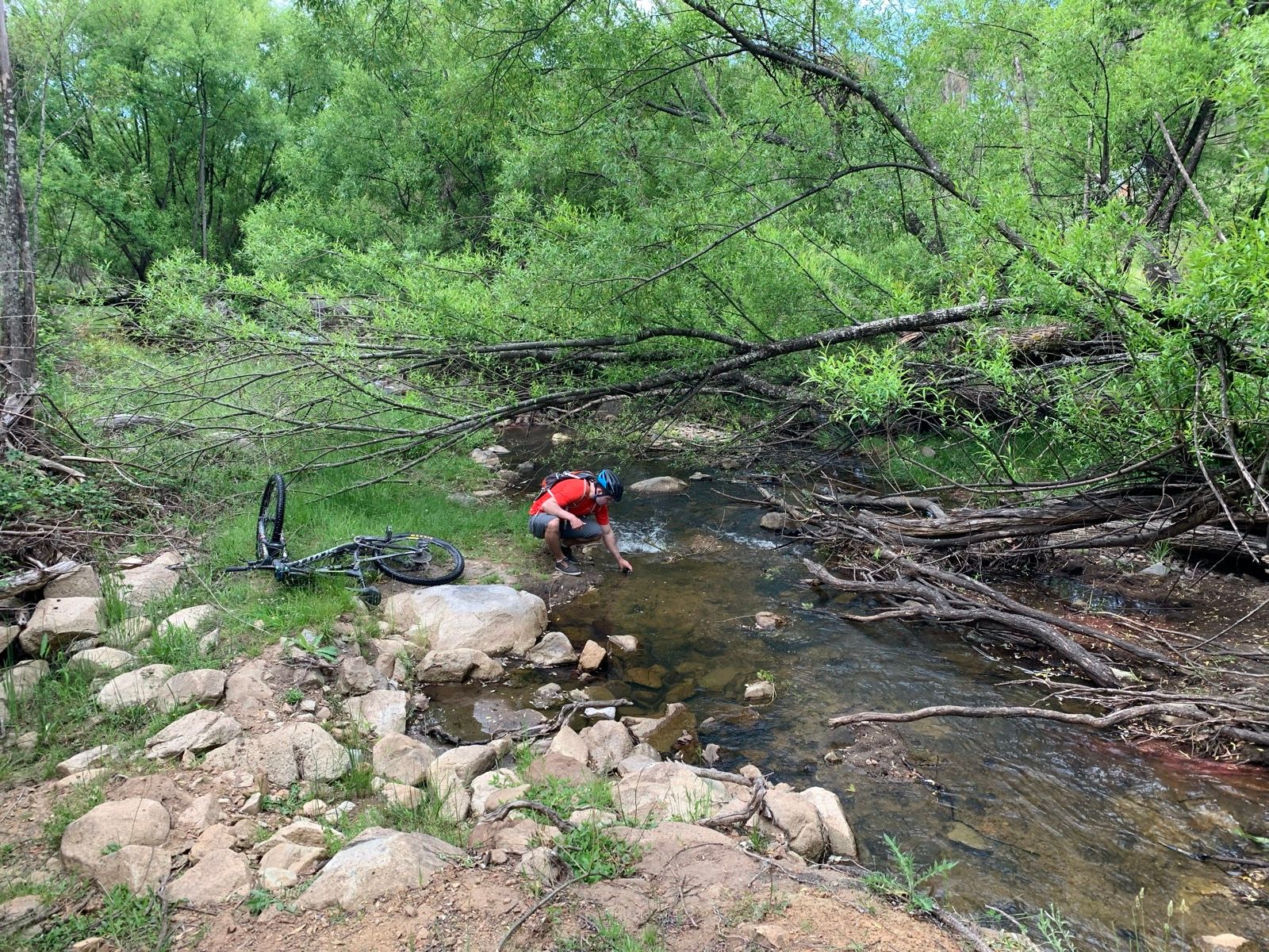 Sam O'Shea | Strava Cyclist Profile