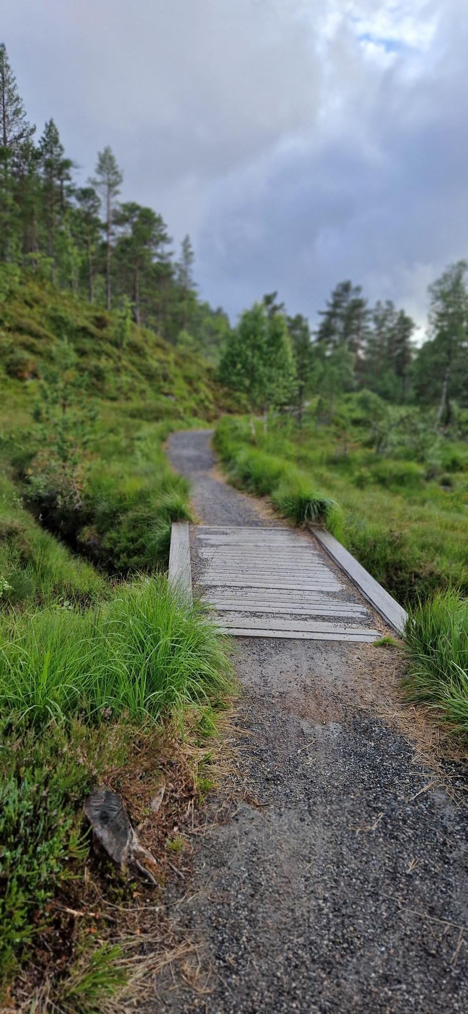 Mary Ulfsnes | Strava 自行車手的個人檔案