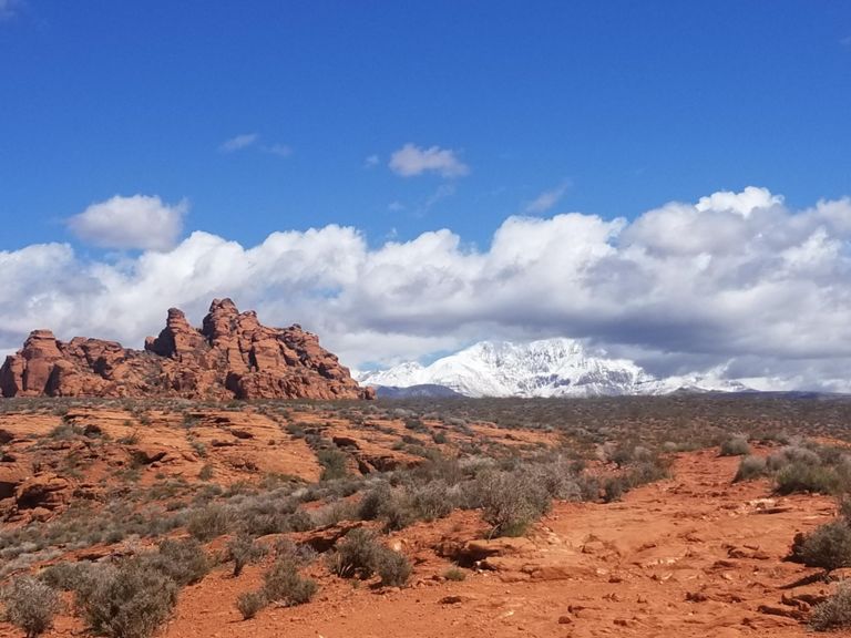 Chuckwalla Trail | 7.3 km Running Route on Strava