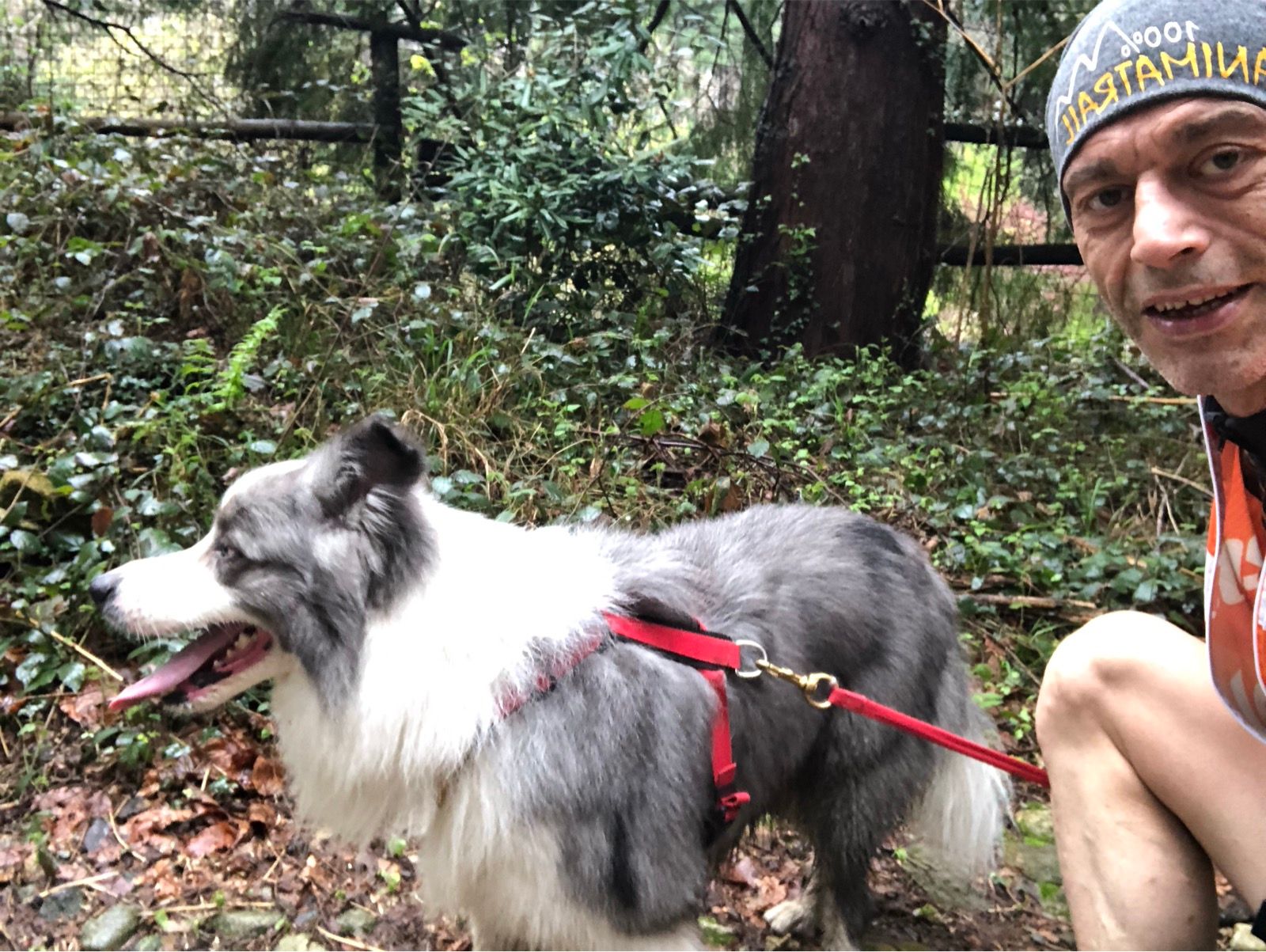 Davide Meroni | Strava Runner Profile