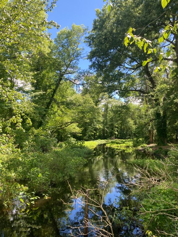 2024 AM:WATTS A/B Group (Swamp/Summit/Livingston) | 32.7 mi Cycling ...