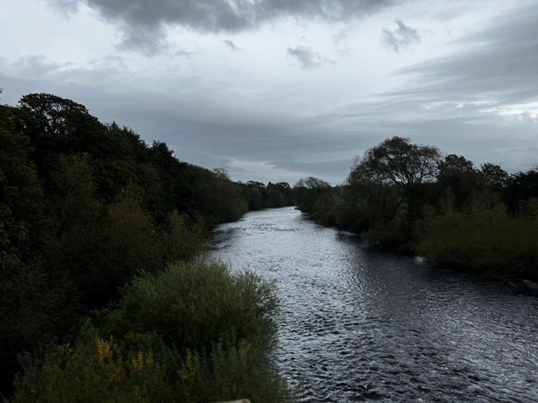 Catterick Bridge 40 miler | 38.3 mi Cycling Route on Strava