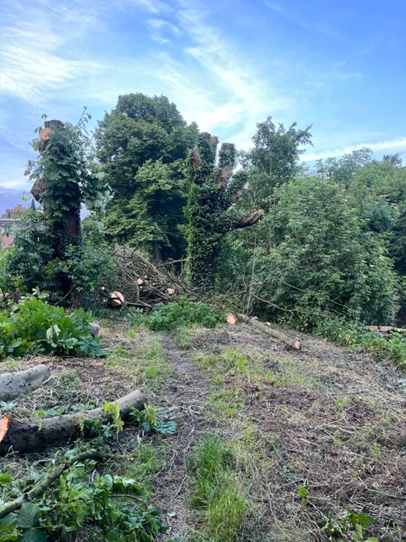 Bij Suus klussen | 163.7 km Cycling Route on Strava