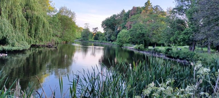 solihull cycle s19 | 23.0 km Cycling Route on Strava
