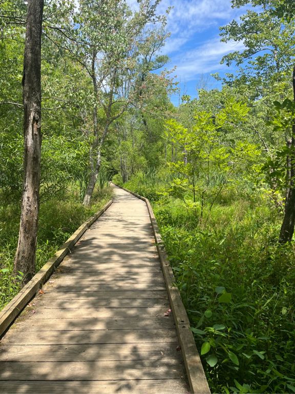 Cochran Shoals Long Loop (5 mile) | 5.2 mi Running Route on Strava