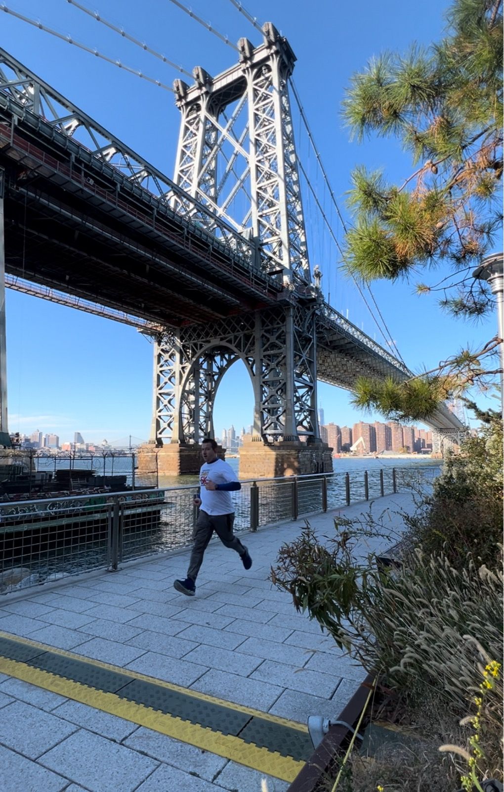 Louie Renna | Strava Runner Profile