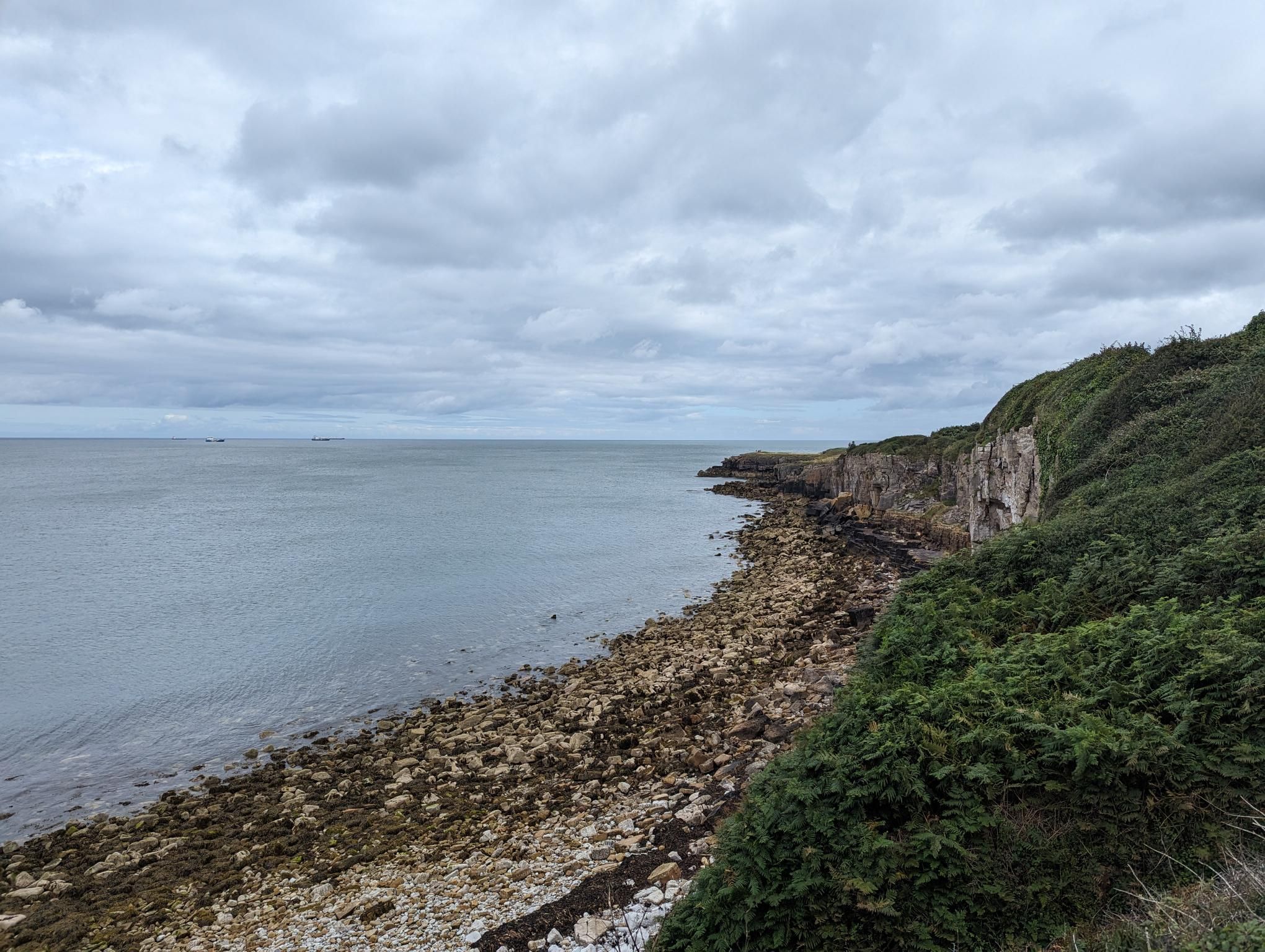 Sam Pickering | Strava Cyclist Profile